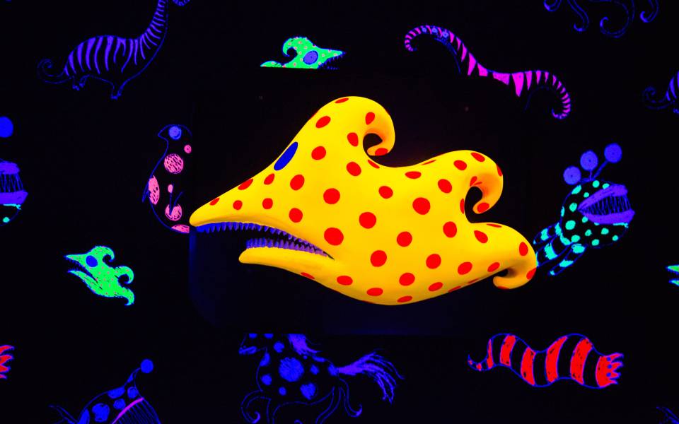 Kuliah di School of Animation & Visual Effect Academy of Art University ...